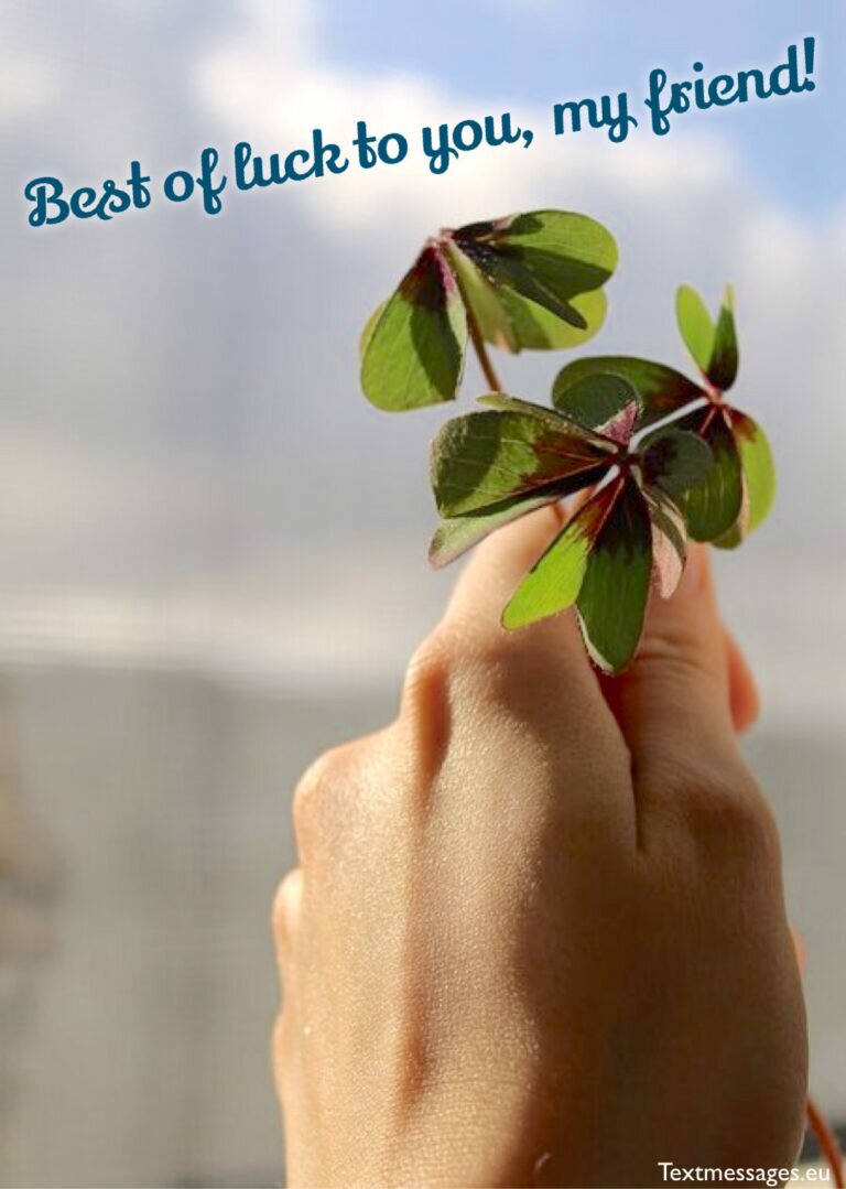 50 Good Luck Quotes, Messages And Wishes (With Images)