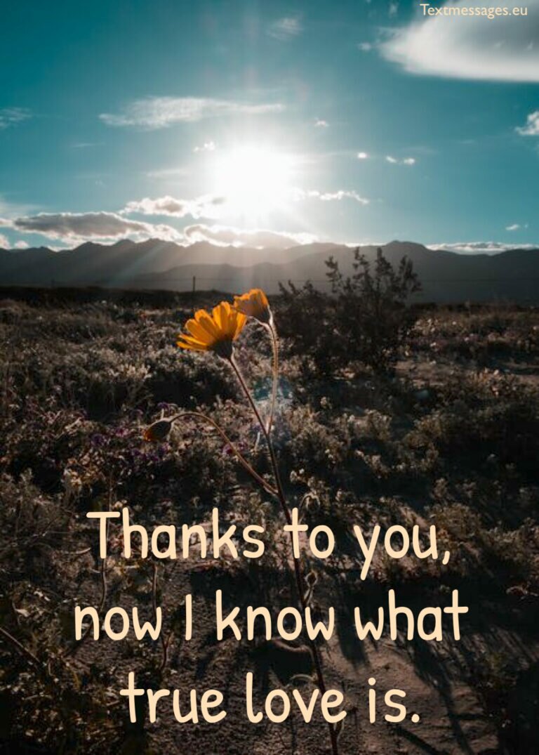 150 Sweet Love Messages And Love Words (With Images)